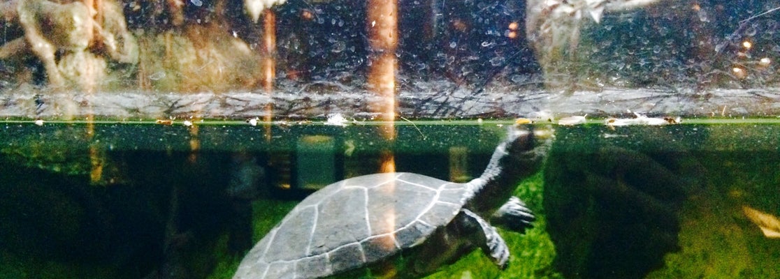 CosmoCaixa - Science Museum in Barcelona