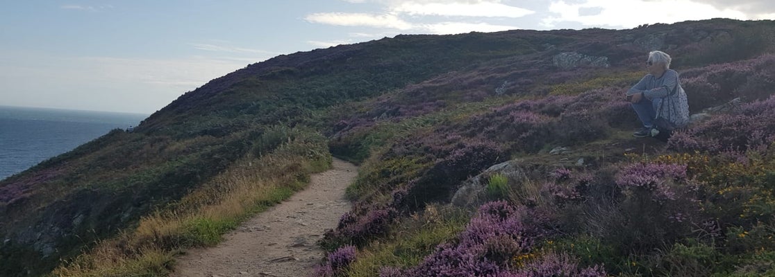 Howth Summit - Hill in Howth