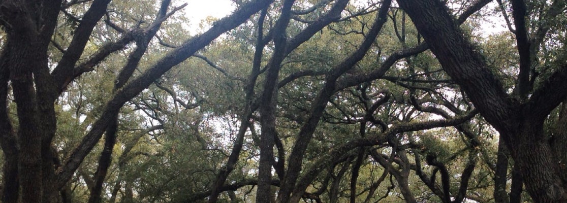 Rice University - Houston, TX