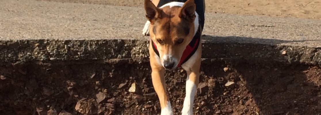 Fort Funston - Park in Lakeshore