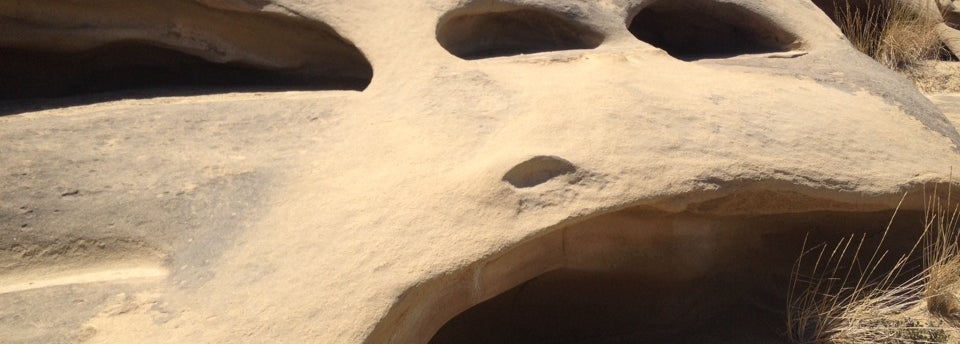 Alagadi Turtle Beach - 58 tips from 7992 visitors