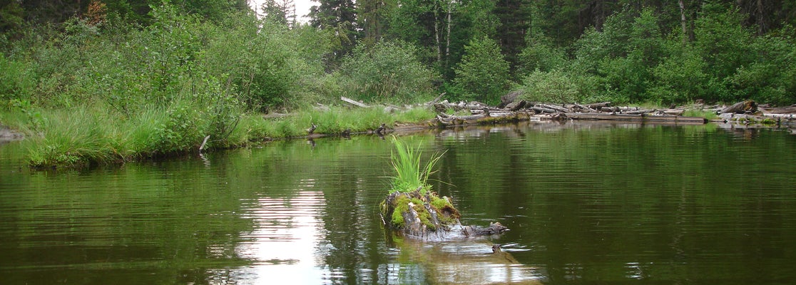 Dog Lake - Lake in olney