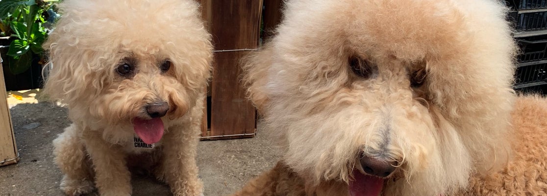 Briermere Farms - Riverhead, NY