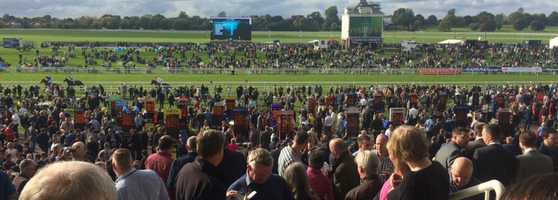 York Racecourse - 14 tips