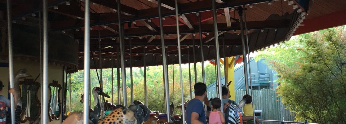 Houston Zoo Carousel - Medical Center - Houston, TX