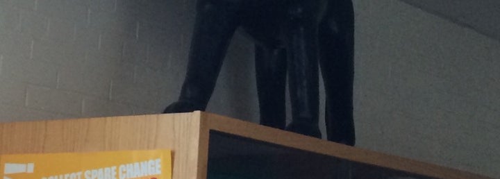 Page Middle School - Middle School