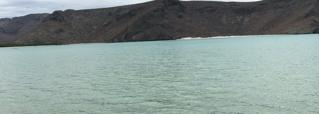 Playa Punta Balandra - Pichilnque, Baja California Sur