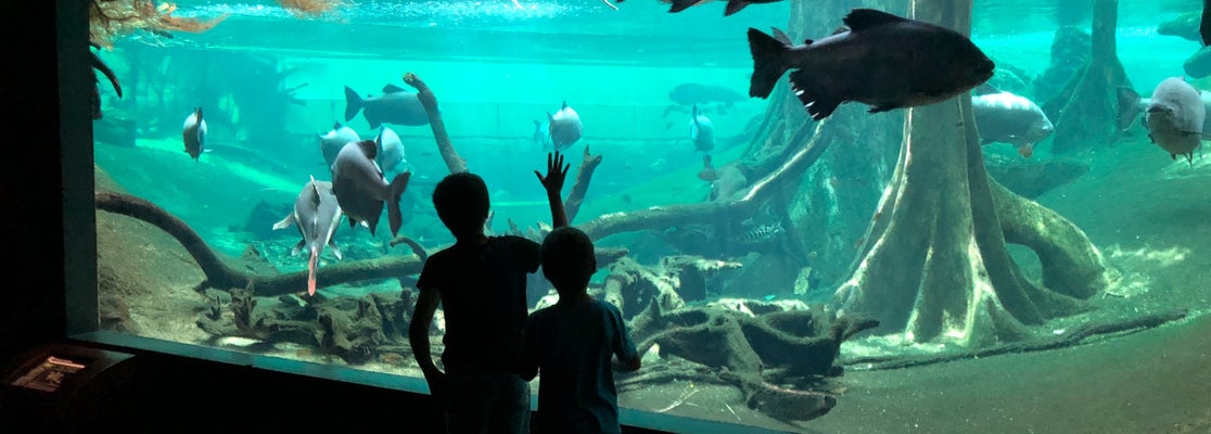 CosmoCaixa - Science Museum in Barcelona