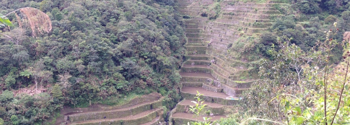 Batad Rice Terraces - 11 tips