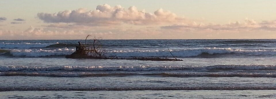 Pacific Beach, WA - 5 tips