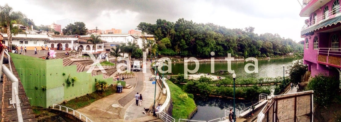 Parque de Los Lagos - Park