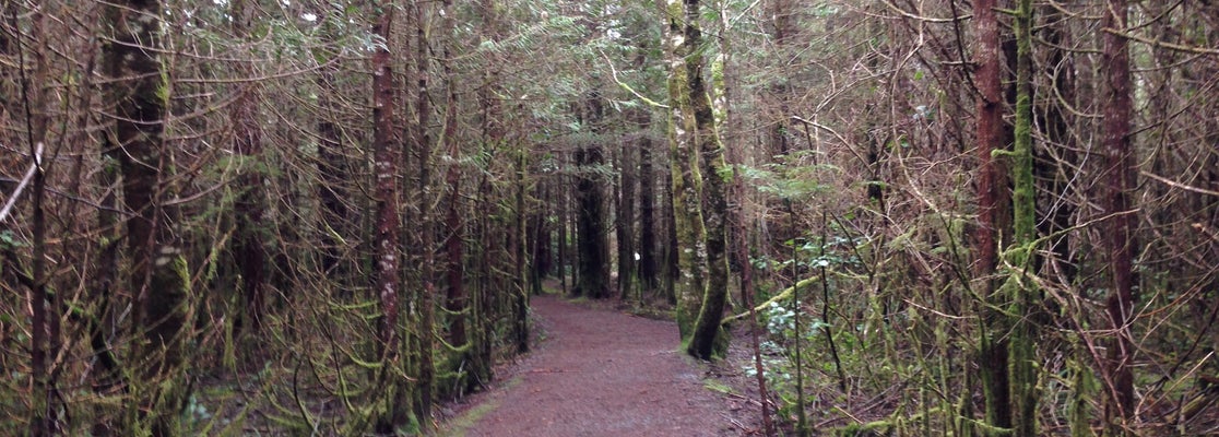 Pacific Rim National Park - 9 tips