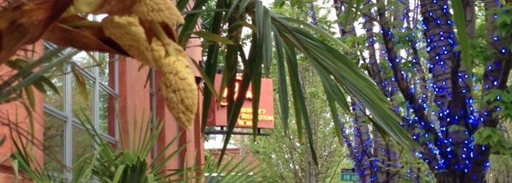 Oba Restaurante (Now Closed) - Latin American Restaurant in Portland