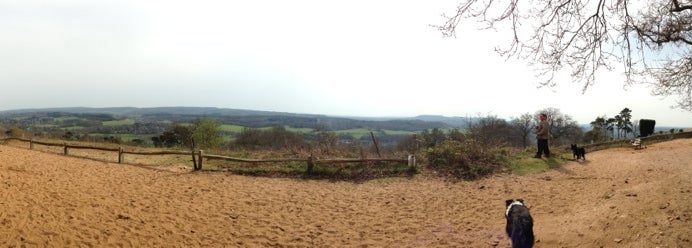 Newlands Corner - Nature Preserve