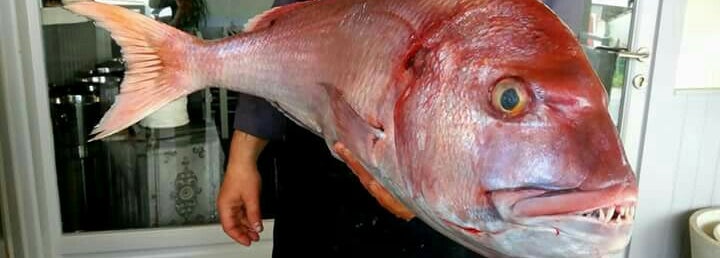 Keros Seafood - Άγιος Δημήτριος, Αττική