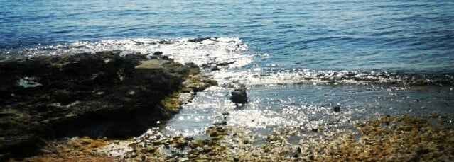 Παραλία Σαρωνίδας (Saronida Beach) - 15 tips