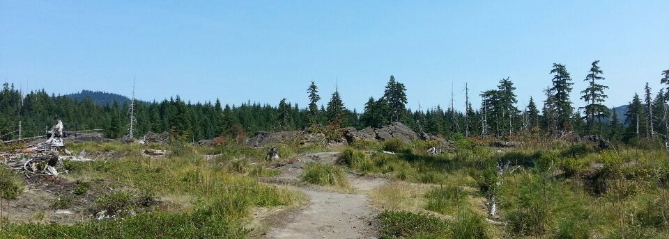 Ape Cave - Hiking Trail