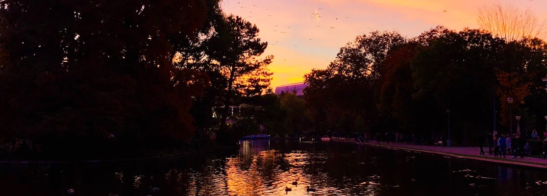 Parcul Central - Park in Cluj-Napoca