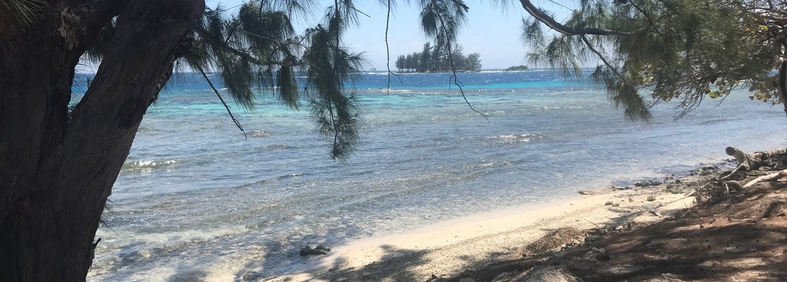 Utila Island - Beach