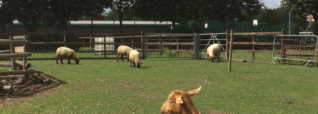Hackney City Farm - Farm in Hackney