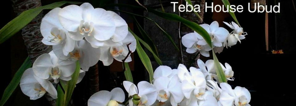 Teba House - Ubud, Bali