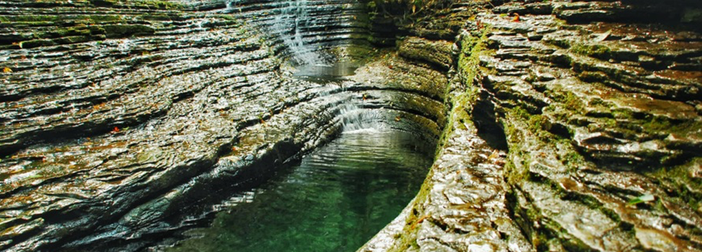 The Devil's Fork - Other Great Outdoors