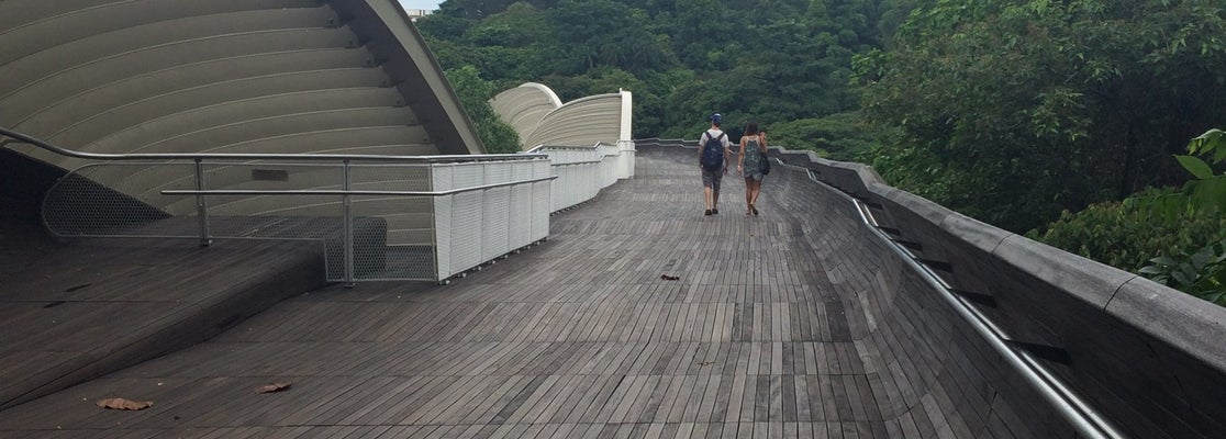 Henderson Waves - Henderson Rd