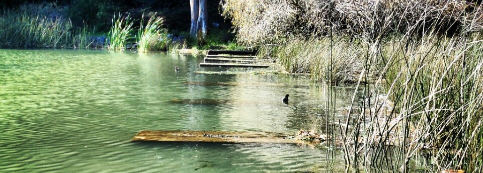 Caleta Lenga - Hualpén, Biobío