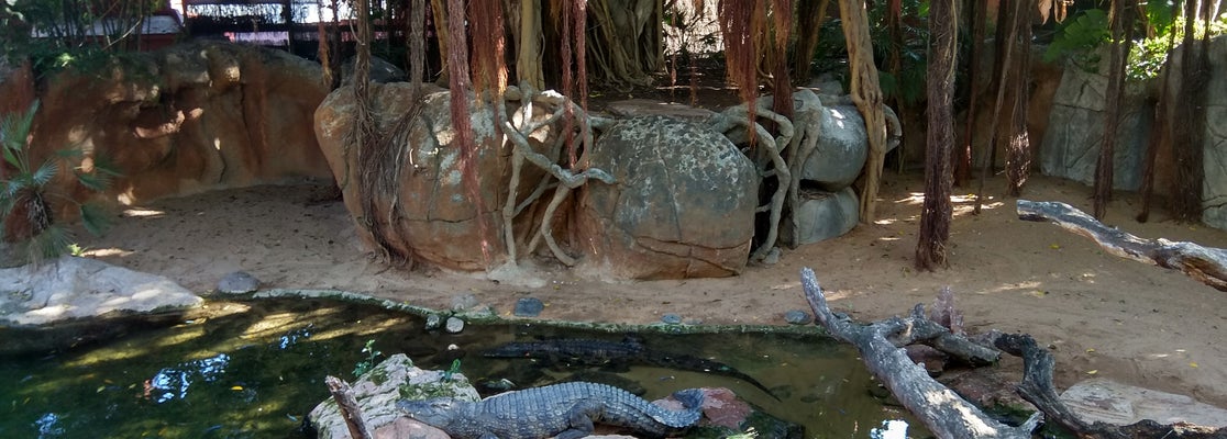 Bioparc Fuengirola - Zoo