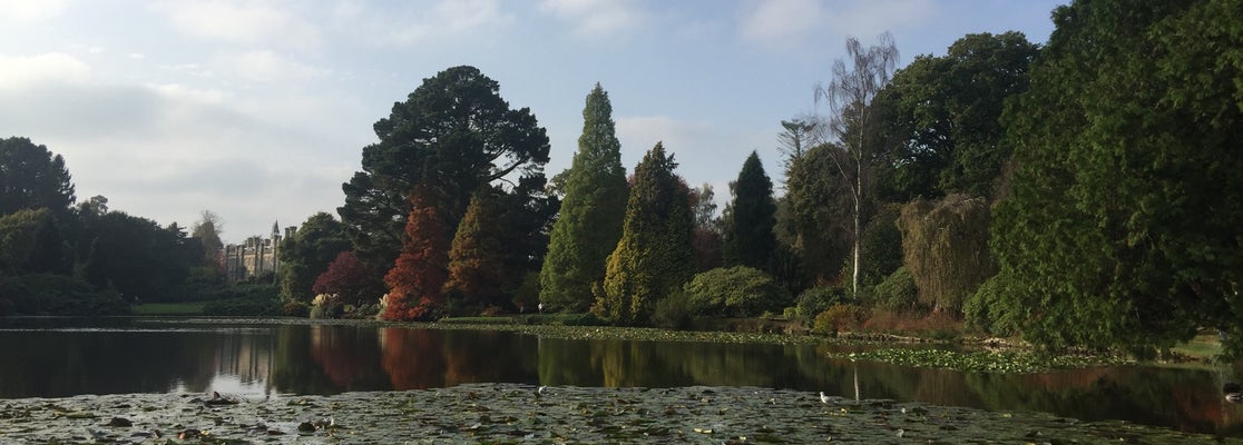 Sheffield Park Garden - Sheffield Park