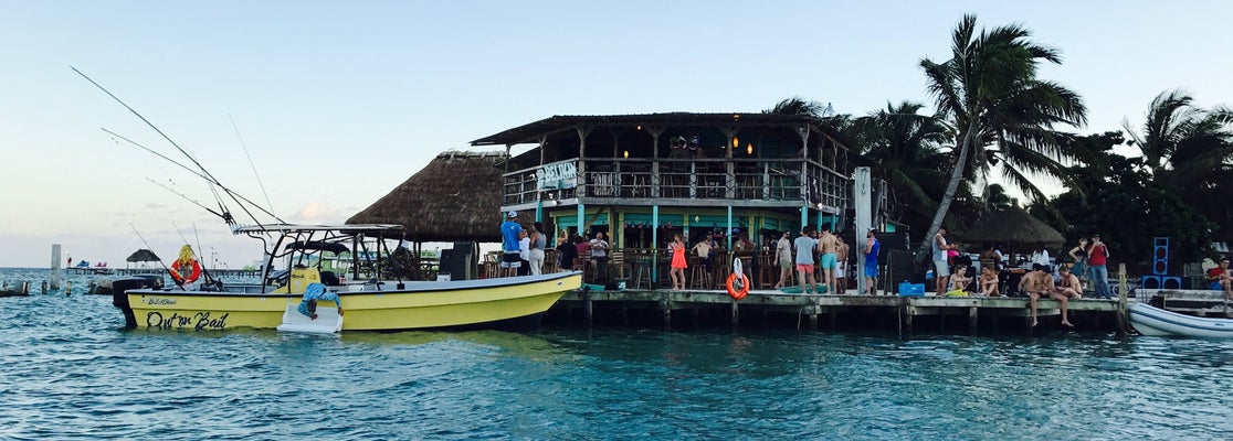 Lazy Lizard - 24 tips