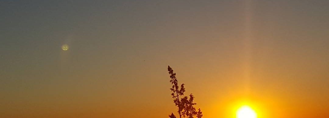 Pilot Butte State Park - State or Provincial Park