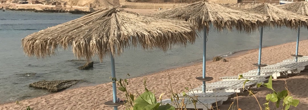 Sharks Bay - Bay in Sharm El Sheikh