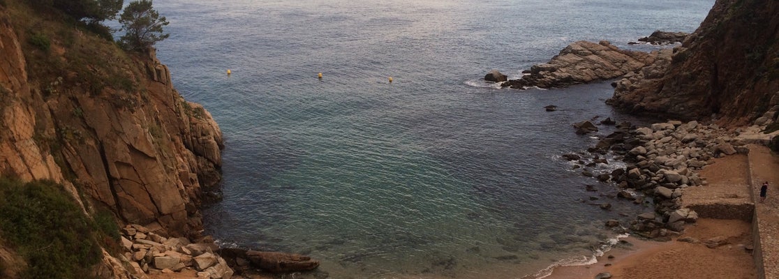 Platja d'es Codolar - 7 tips from 369 visitors