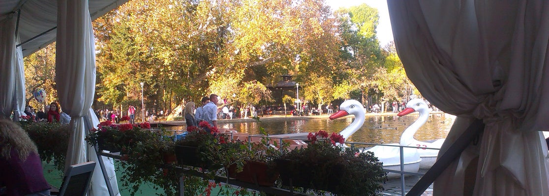 Parcul Central - Park in Cluj-Napoca