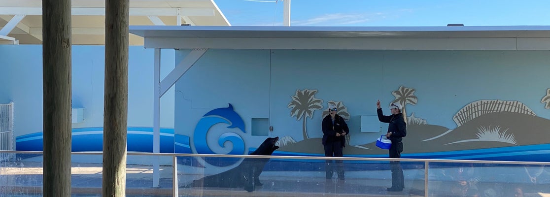 Gulfarium Marine Adventure Park - Amusement Park