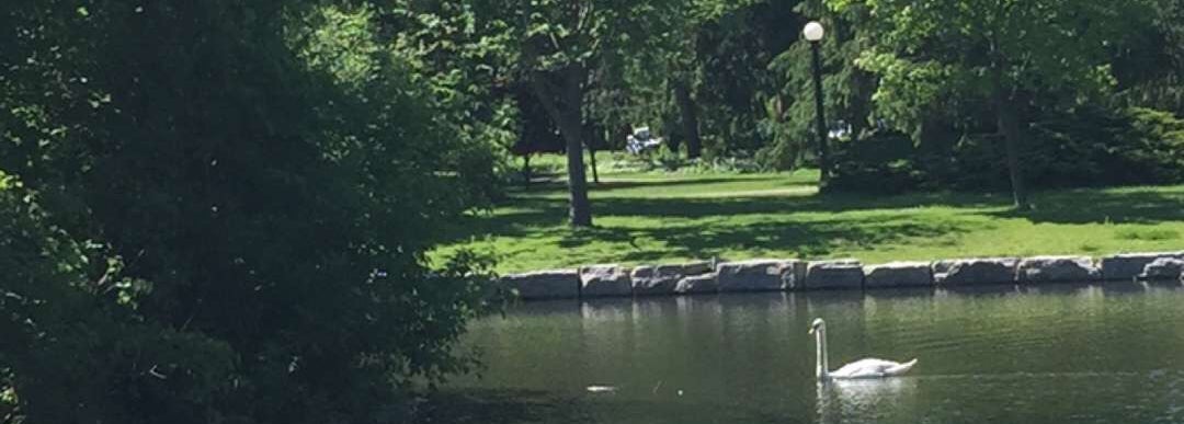 Victoria Park - Park in Kitchener