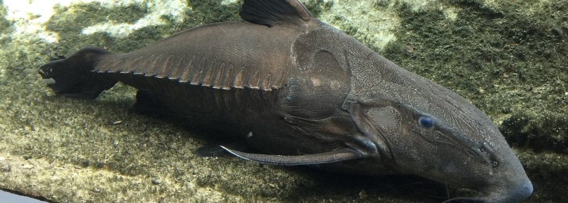 CosmoCaixa - Science Museum in Barcelona