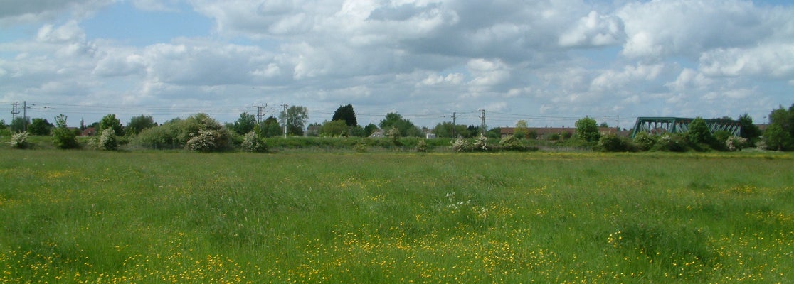 Fen Ditton Meadows - 1 tip