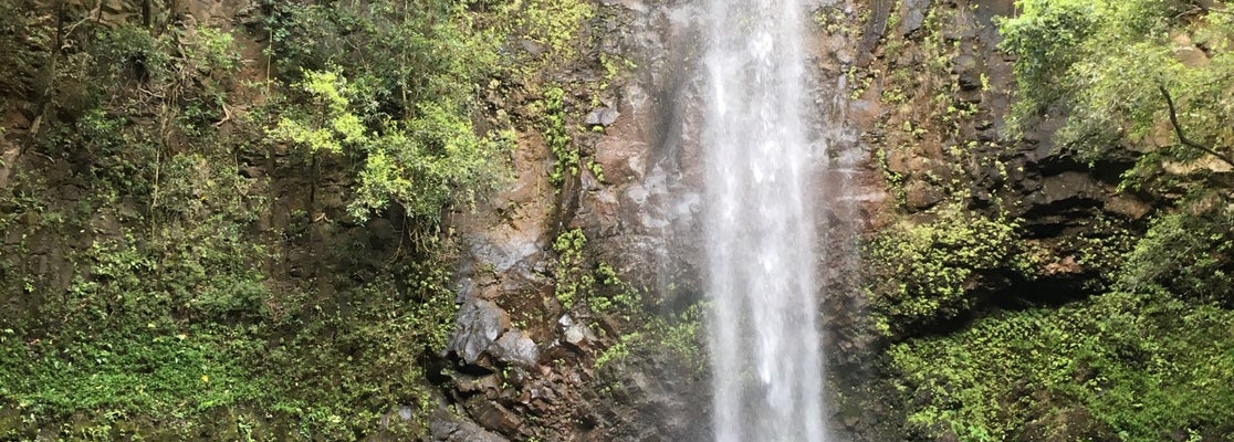Trail to Secret Falls (Uluwehi Secret Falls) - Hiking Trail in Wailua