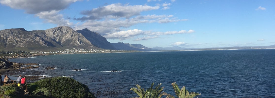 Hermanus Whale Lookout - Hermanus, Western Cape