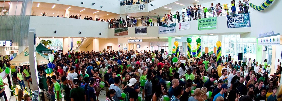 University of South Florida - University in New Tampa