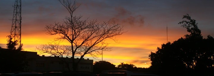 Progreso - 100 tips from 8842 visitors