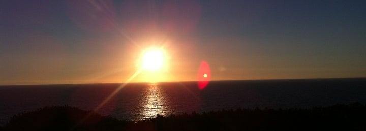 Bodega Head - 11 tips from 1222 visitors