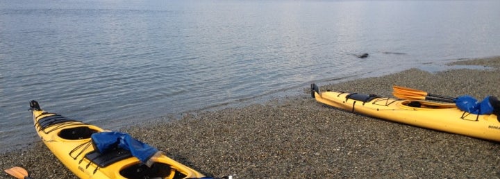 National Park Sea Kayak Tours - Bar Harbor, ME