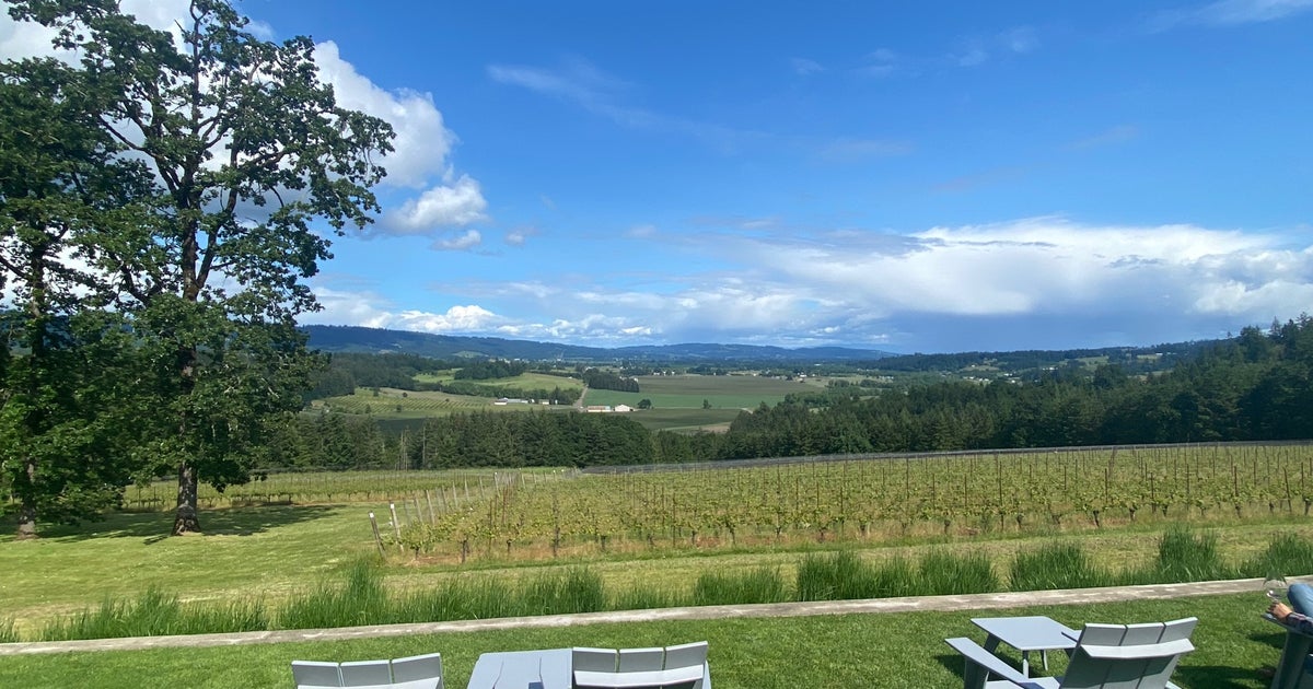 Penner Ash Wine Cellars - 15771 NE Ribbon Rd, Newberg