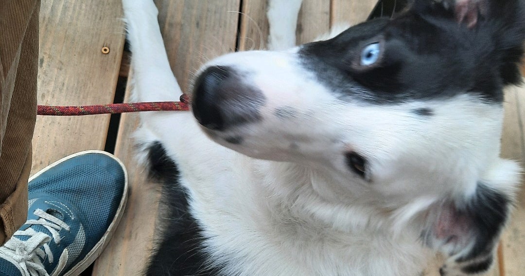 Binks - 2715 NE Alberta St, Portland