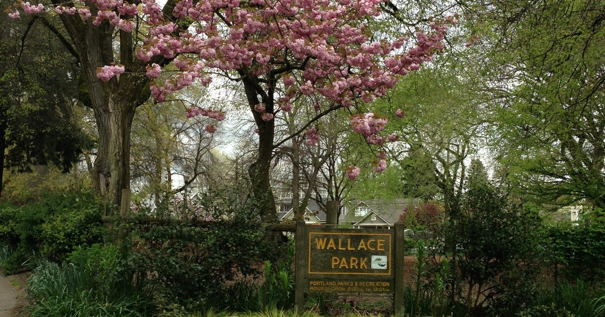 Wallace Park - Wallace City Park, Portland