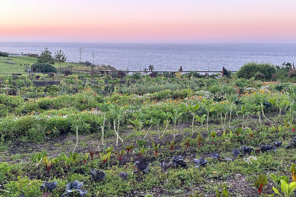 Esalen Institute - 55000 Highway 1, Big Sur