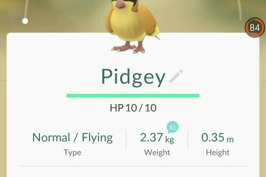 Gereja Mawar Sharon - Central Park Mall Gedung Tribeca Lt.1, Jakarta